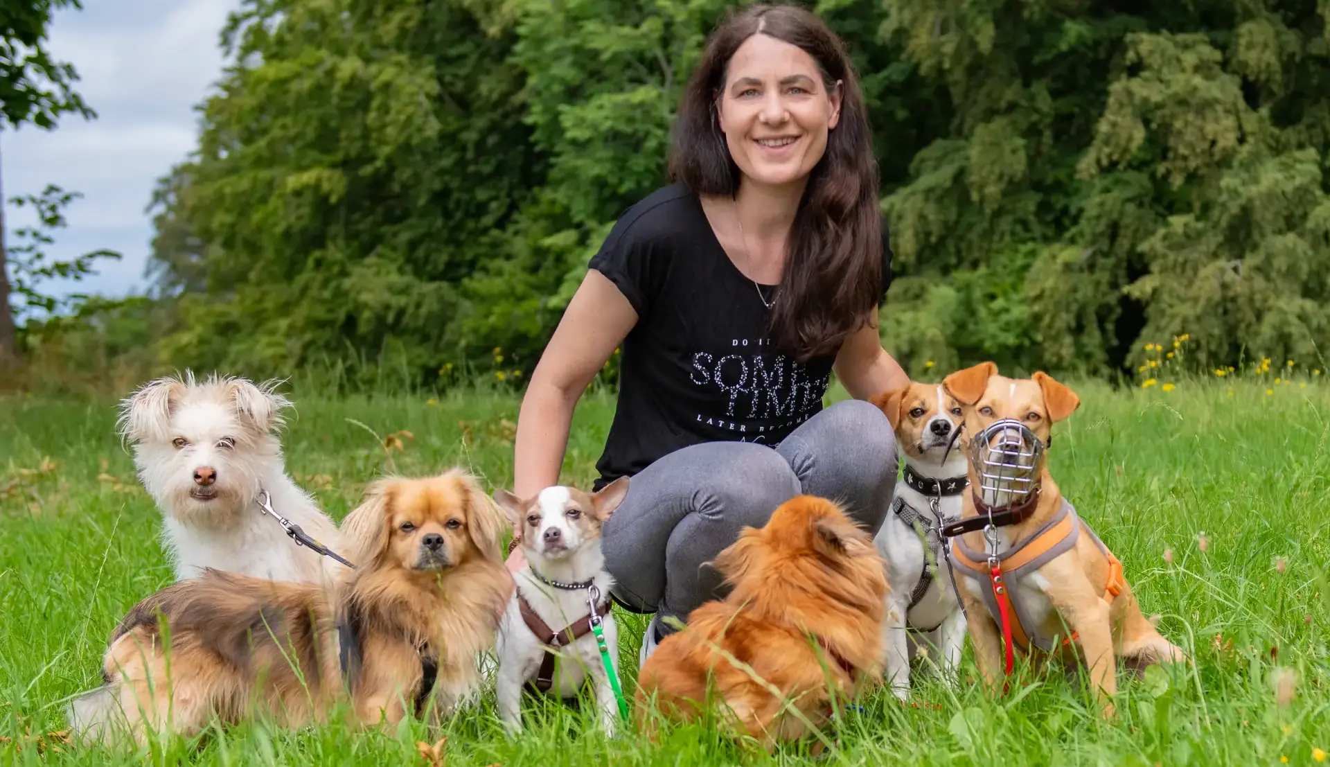 Leistungen - Mensch-Hund-Coaching by Birgit Hartmann | ganzheitliches ...